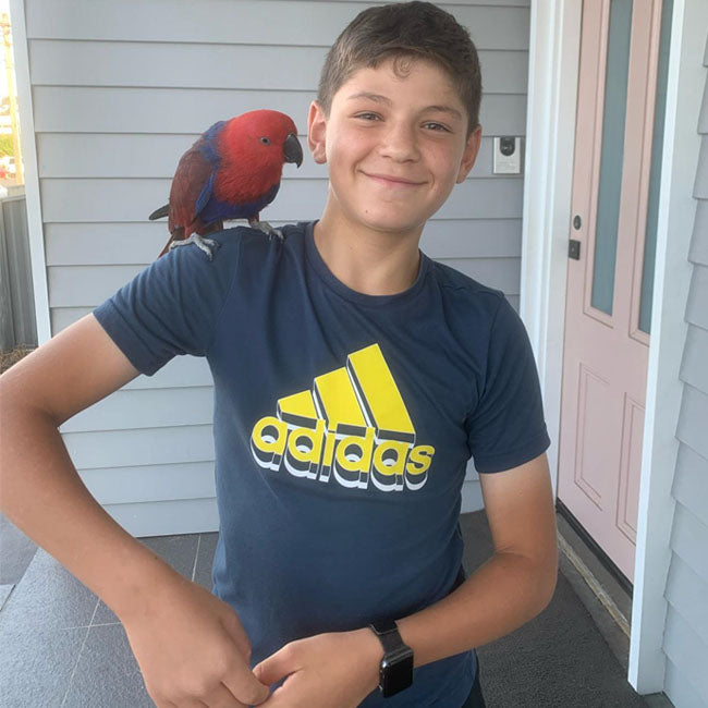 Freshly Baked New York-Style Cookies & Desserts | Zookies