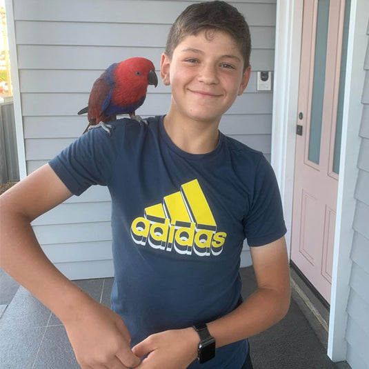 Freshly Baked New York-Style Cookies & Desserts | Zookies